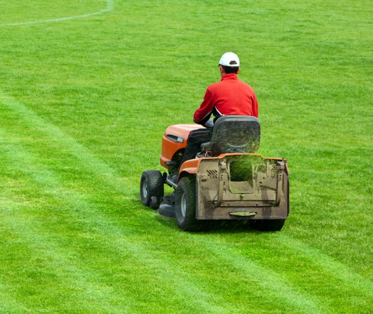 Tracteur tondeuse et tondeuse autoportée : guide et conseils - Agriaffaires