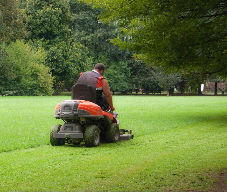 Tracteur tondeuse et tondeuse autoportée : guide et conseils - Agriaffaires
